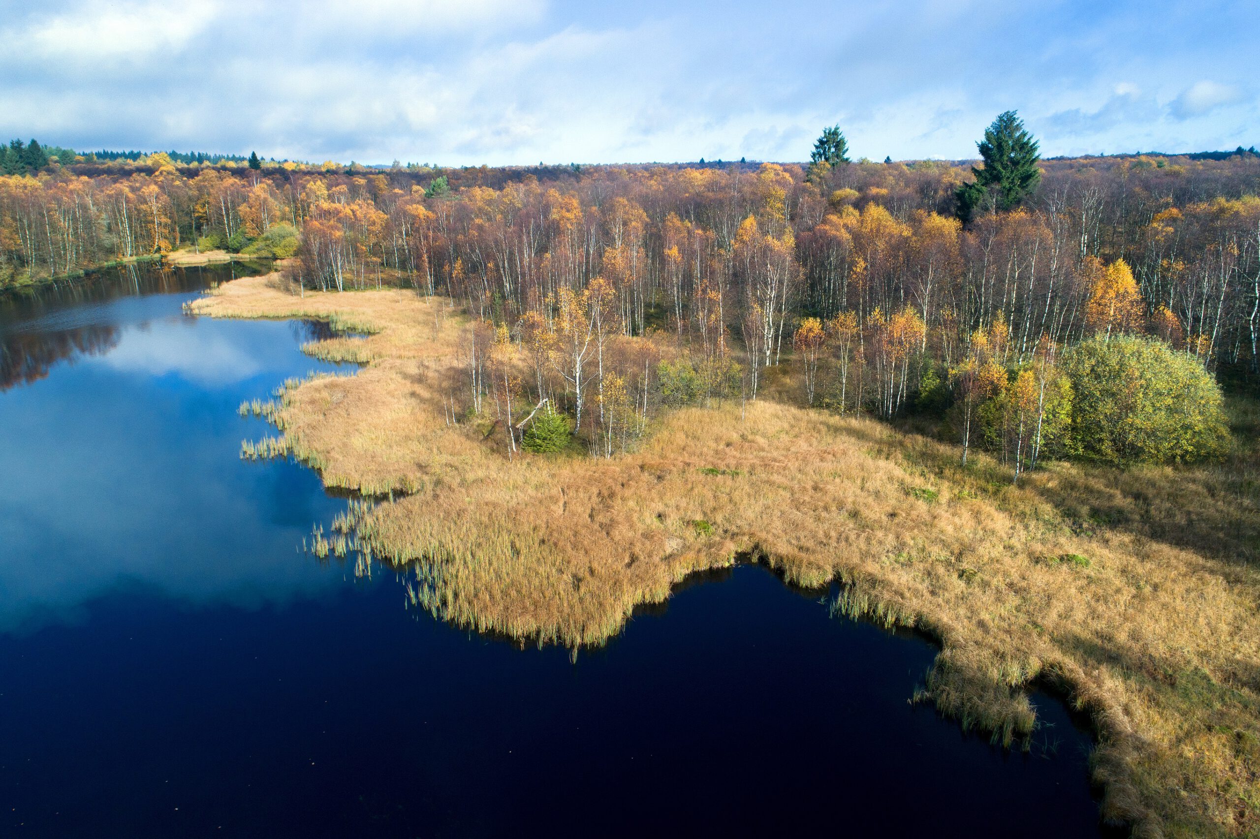 Moorführer*in werden: NABU Hessen bietet Fortbildung an • Natura Event