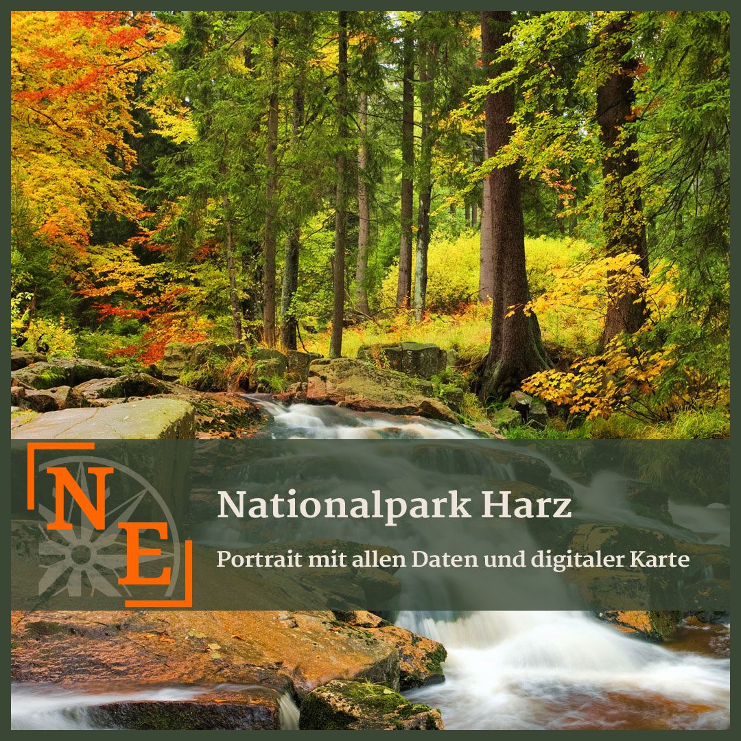 Nationalpark Harz • Portrait bei Natura Event